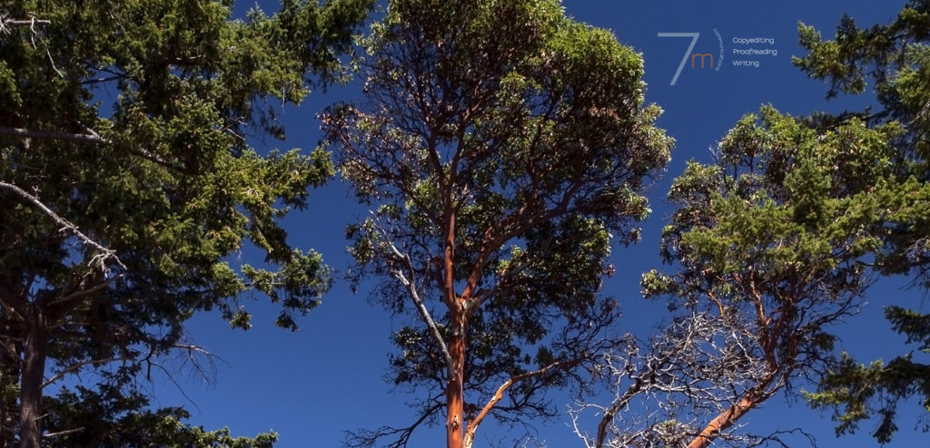 7 Madronas Communications – Your best through your words